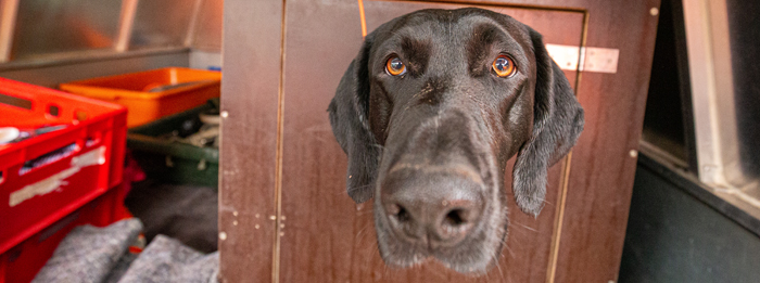 Folge 5: Standlaut - Sauwetter ist Sauenwetter - JÄGER Prime